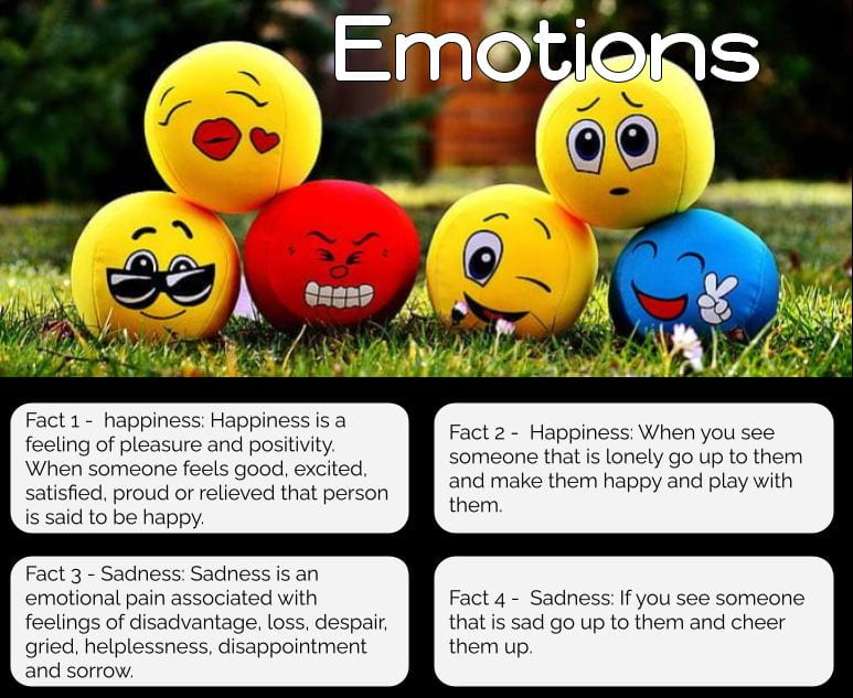 4 facts about emotions. – Anne Marie @ Pt England School